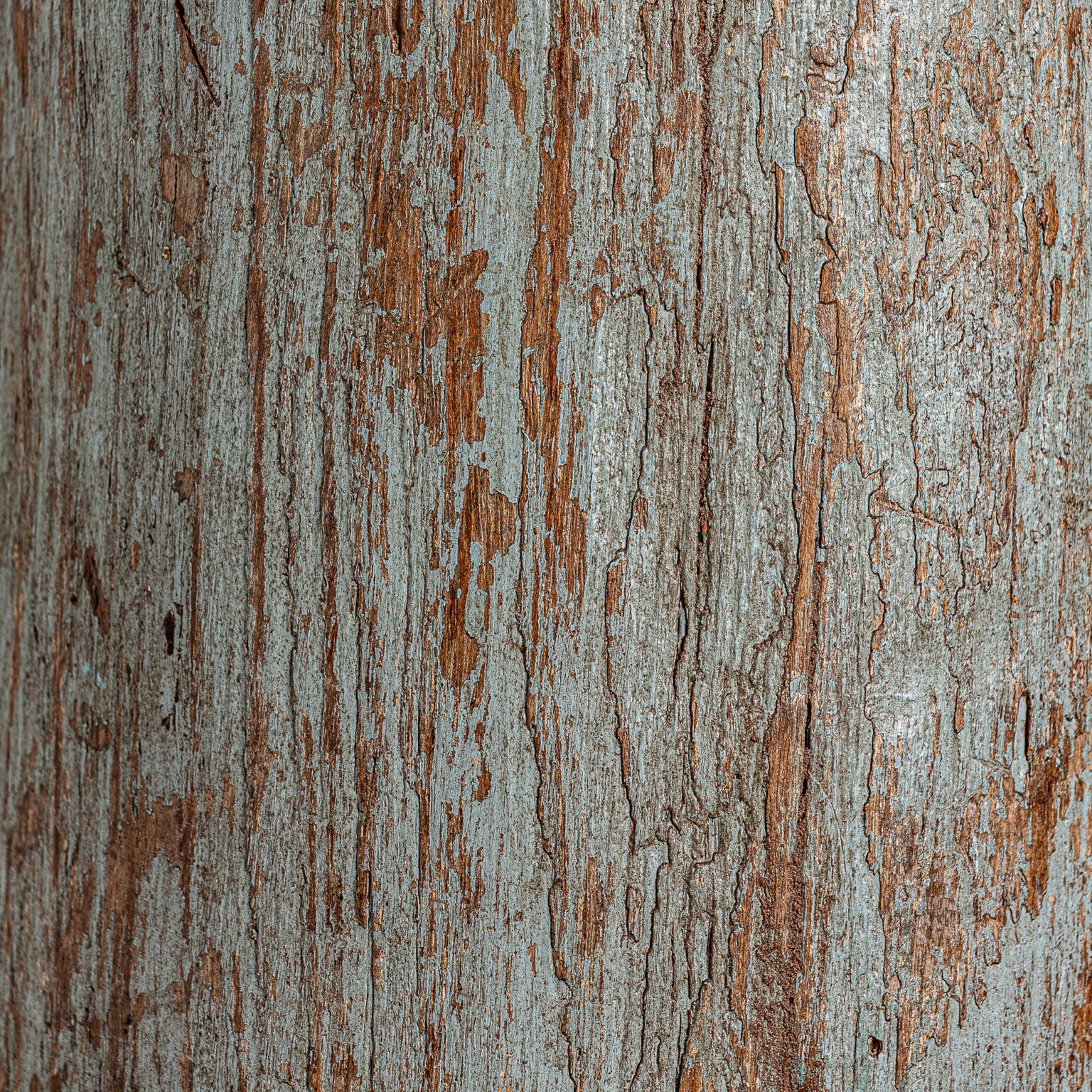 COLUMNA
